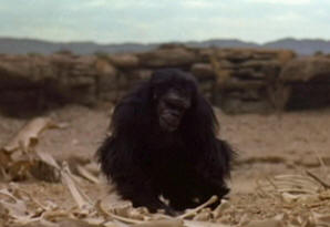 2001: A Space Odyssey - in-depth analysis - by Rob Ager 2008